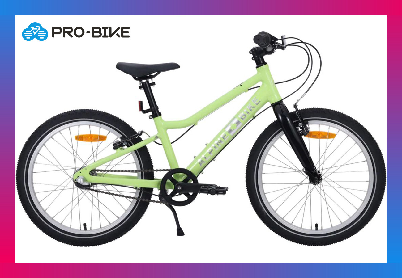 Детский велосипед AlpineBike Kids Rigi (2024) (Код: 41495) купить в ...